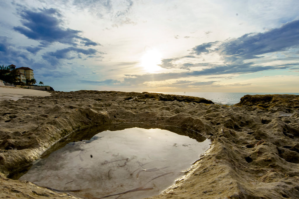 Meet The Robinsons, In The Bahamas - DracInc | Donn Thompson - New York ...